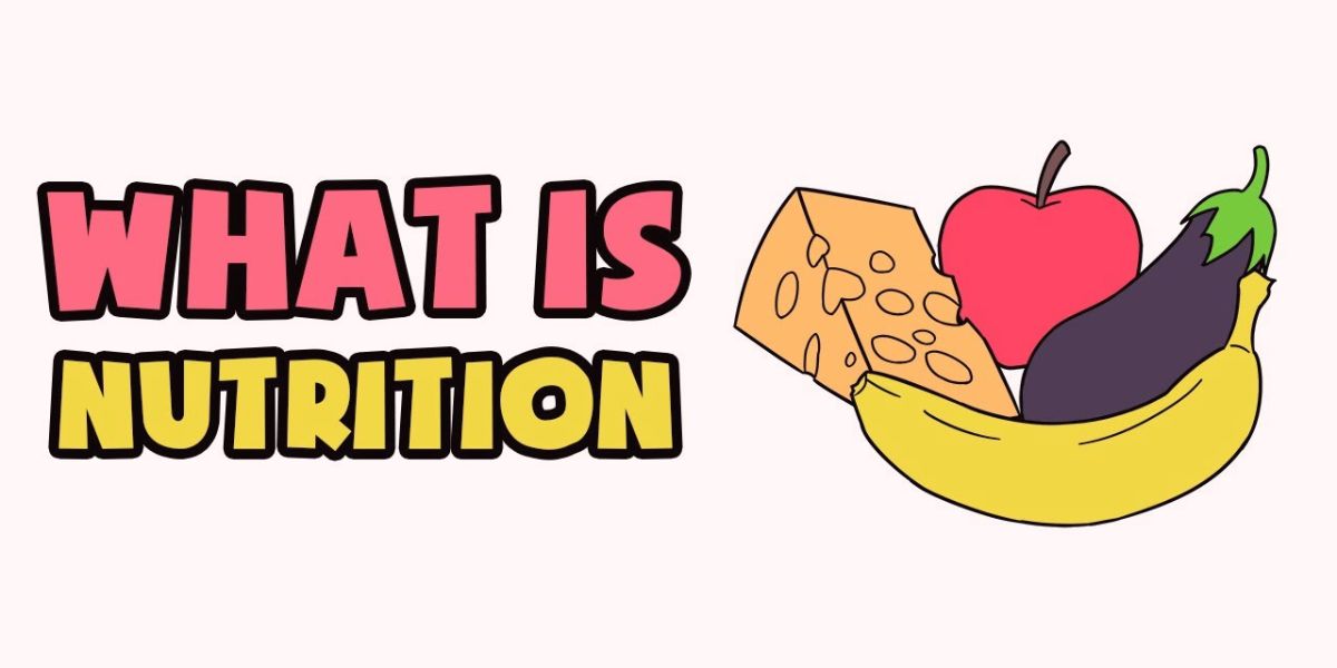 Nurturing The Body And Mind: Knowing The Relevance Of Nutrition