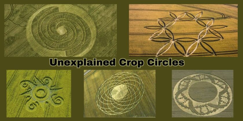 Unraveling the Mystery: The Enigma of Unexplained Crop Circles