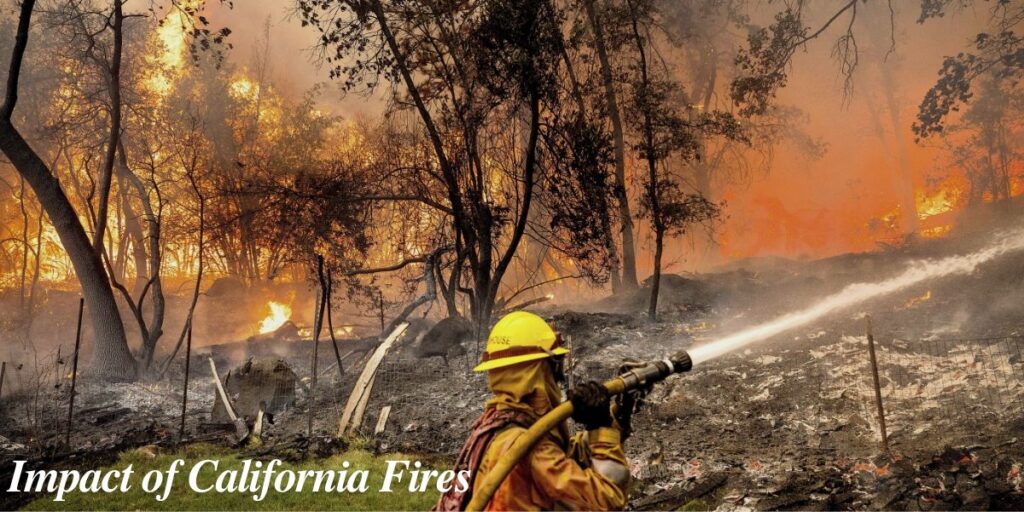 The Impact of California Fires on Communities and Wildlife