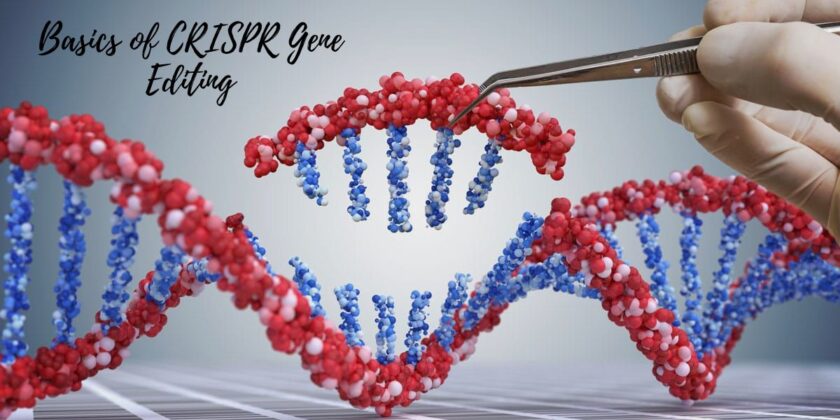 How CRISPR is Changing the Future of Medicine