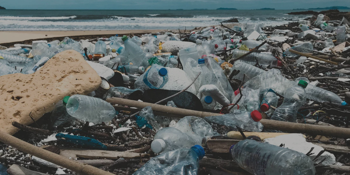 Tracing the Sources of Ocean Plastic Pollution - MeshPedia