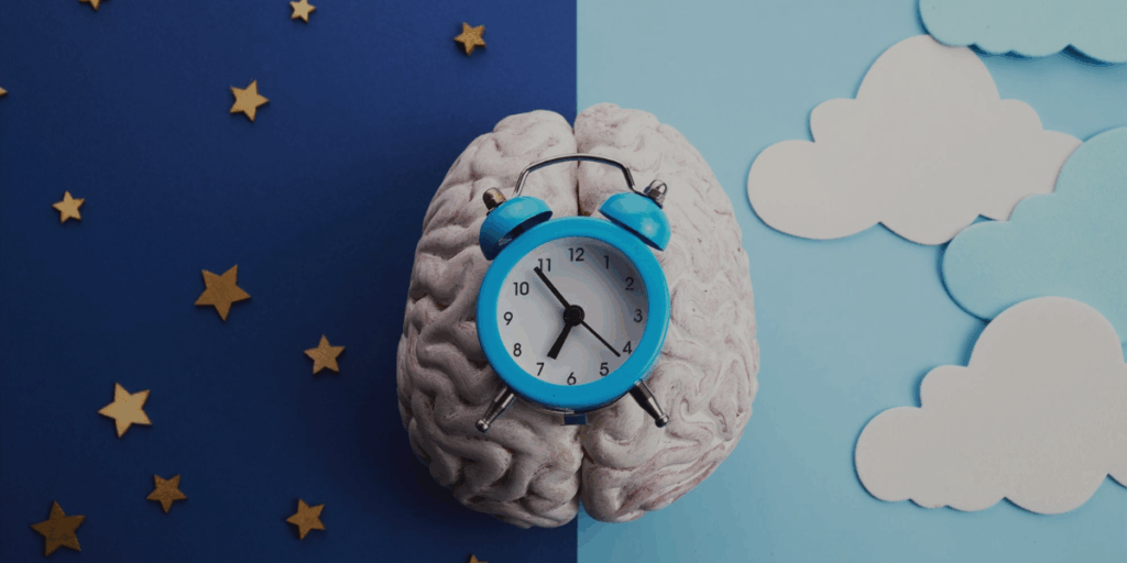 The Science Behind Better Sleep or a Balanced Body Clock - MeshPedia